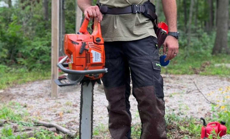 Log Masters Tree Service Launches Redesigned Website - Wired PR News