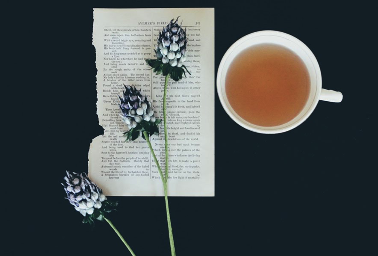 Organic Green Tea And The Autumnal Equinox Facts Shared by I.E. Green ...