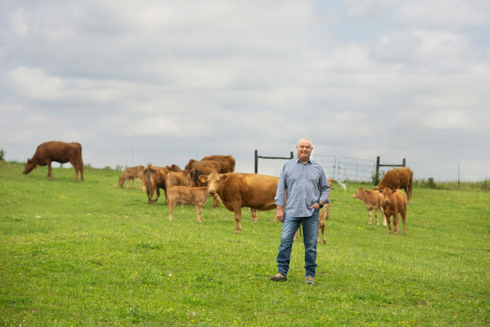 Hall Farmstead Launches Purebred Artisan Wagyu Beef, Bringing ...